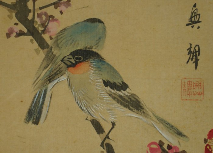 Suzume birds 1900