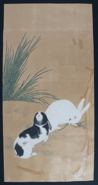 Usagi Japan rabbit 1880