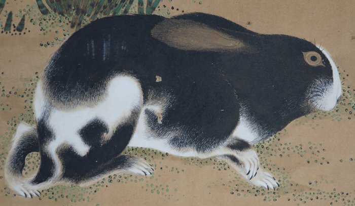 Usagi Japan rabbit 1880